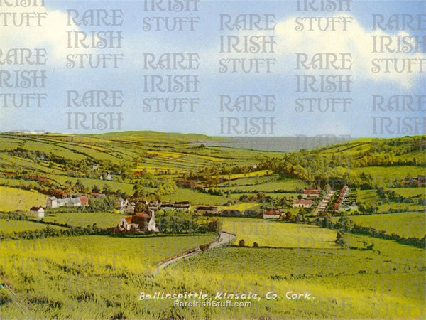 Ballinspittle, Kinsale, Cork, Ireland, Rare Photo Cork, Old Photo, Old ...