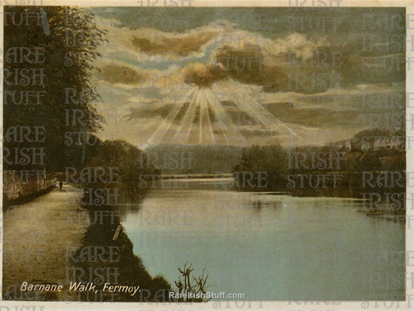 Barnane Walk, Fermoy, Cork, Ireland 1900, Rare Photo Cork, Old Photo ...