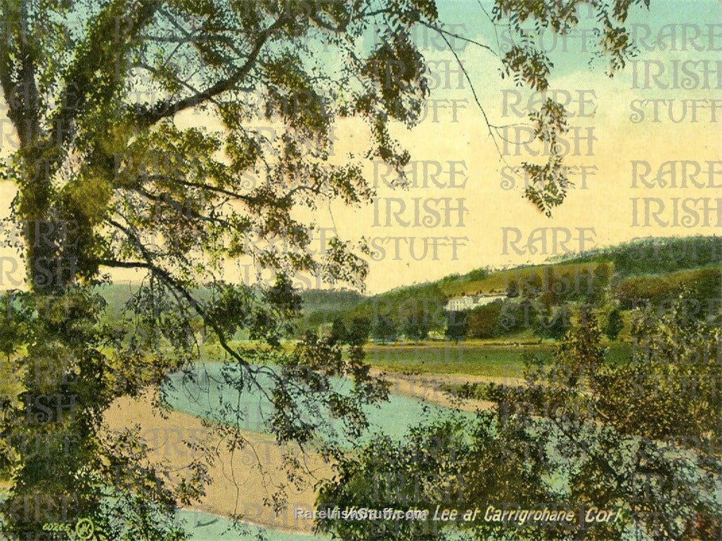 A vista on the River Lee at Carrigrohane, Cork, Ireland, Rare Photo Cork, Old Photo, Old Picture,