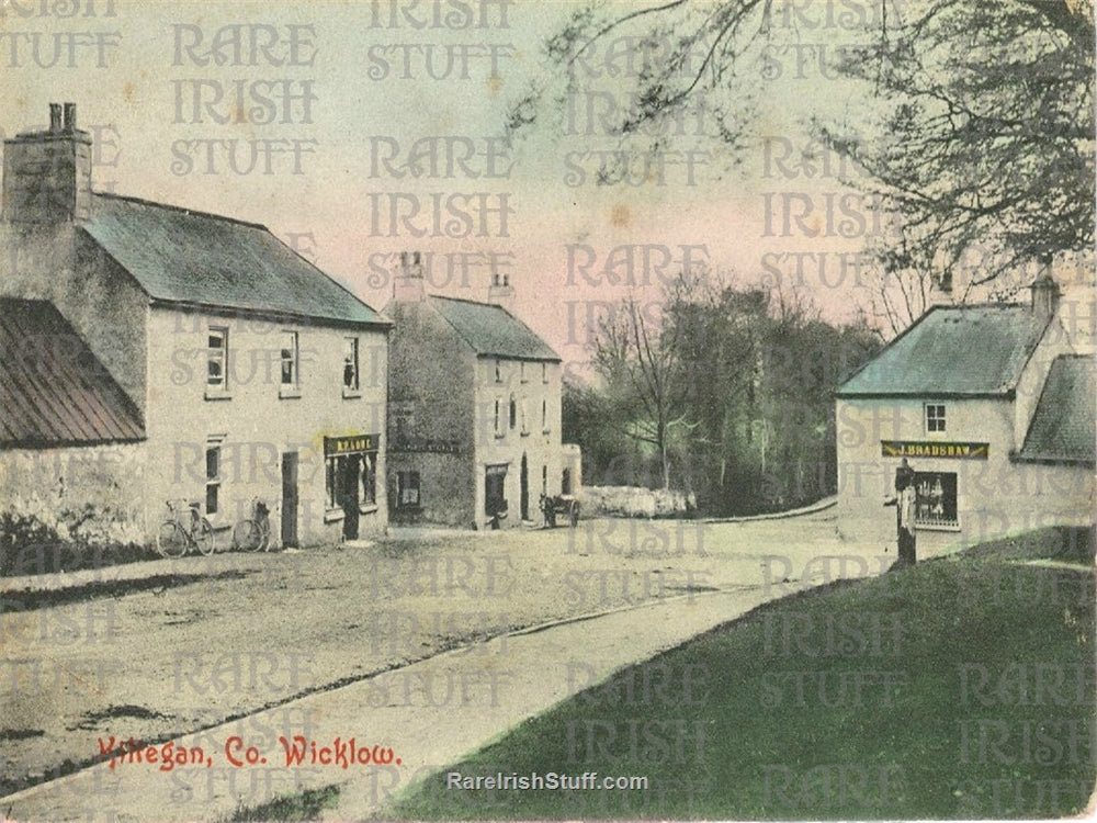 Kiltegan, Co. Wicklow, Ireland 1900, Old Photo, Old Image, Old Picture
