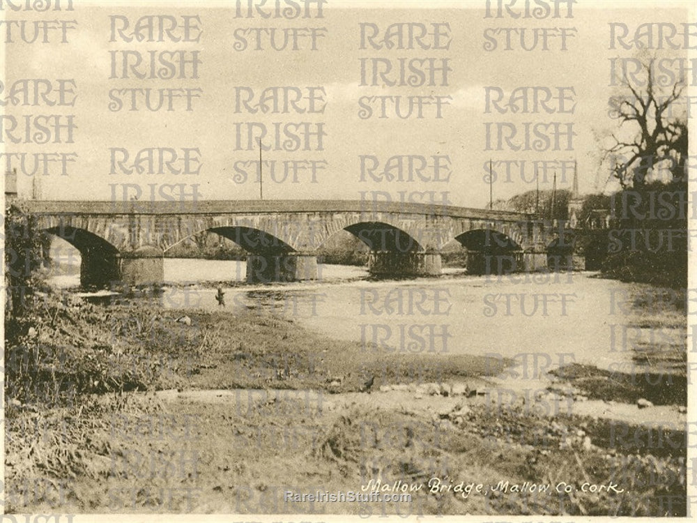 Mallow Bridge, Mallow, Cork, Ireland,Rare Photo Cork, Old Photo, Old ...