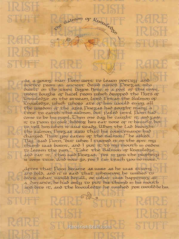 Salmon Of Knowledge - Fionn Mac Cumhaill - Irish Legend Story