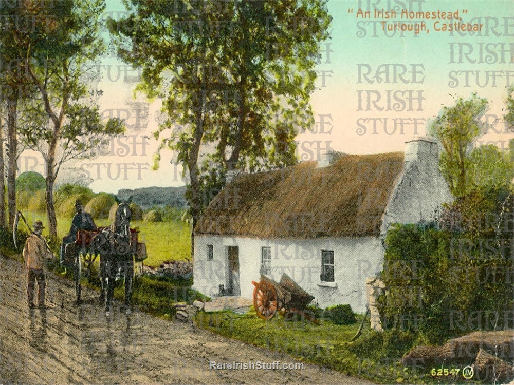 An Irish Homestead, Turlough, Castlebar, Mayo, Ireland, Old Photo, Old ...