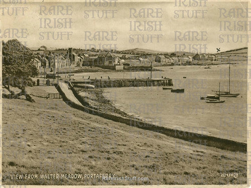 View from Walter Meadow, Portaferry, Down, Ireland, Old Photo, Old ...